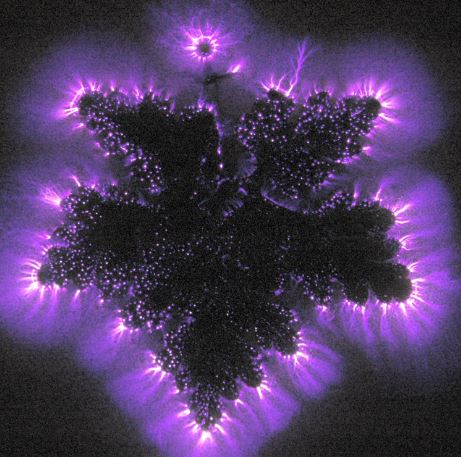 The phantom leaf effect – The Library of Atlantis