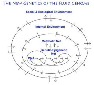 The HART group – The Library of Atlantis