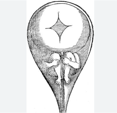 Evolution and cognition – The Library of Atlantis